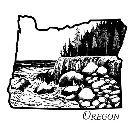 Oregon State Flower Drawing Free Download On Clipartmag
