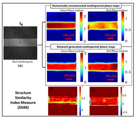 Single Shot Multispectral Quantitative Phase Imaging Using Deep Neural Network
