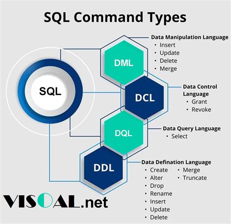 Visoal Tipos De Instrucciones En El Sql Server