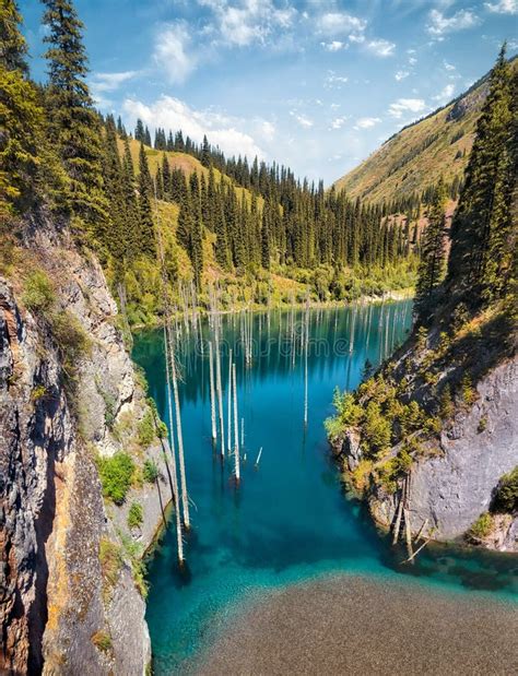 285 Lago Kaindy En El Kazajistán Fotos De Stock Fotos Libres De