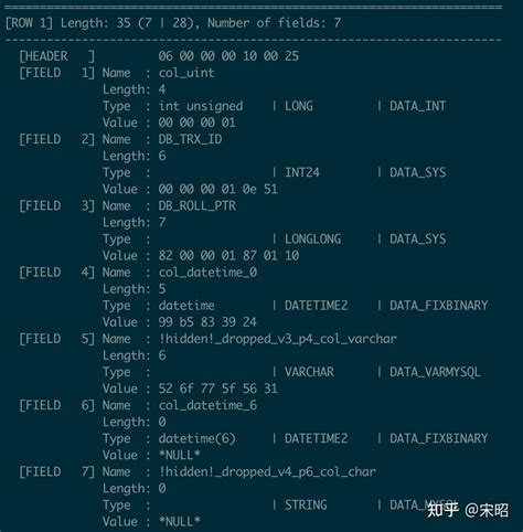 ibdNinjaMySQL 数据文件 ibd 解析分析工具C 知乎