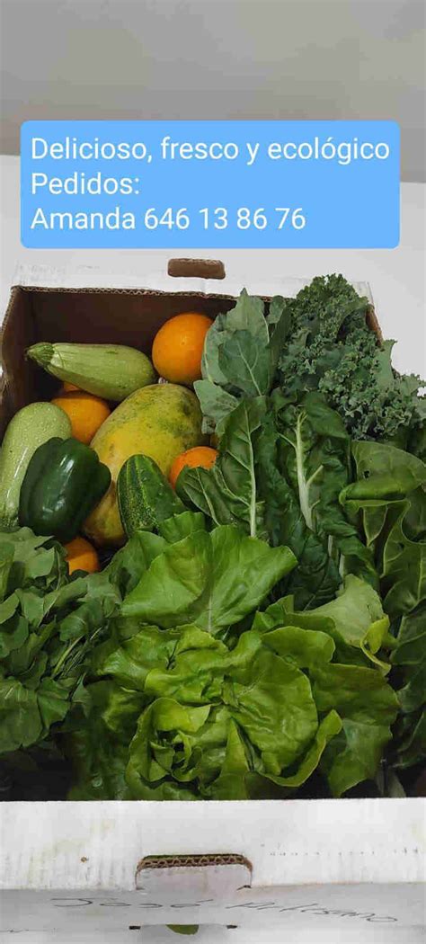 La Cesta En Casa Tu Cesta En Casa