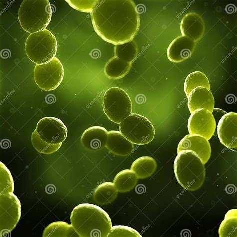 Streptococcus Bacteria Close Up Stock Illustration Illustration Of