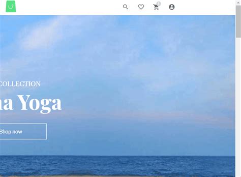 Vue Storefront Magento 2 Pwa Review Exploring The Future Of E Commerce