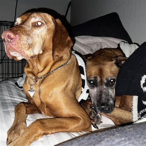 Aly Hagge And Harrison Bowerss Wedding Registry On Zola