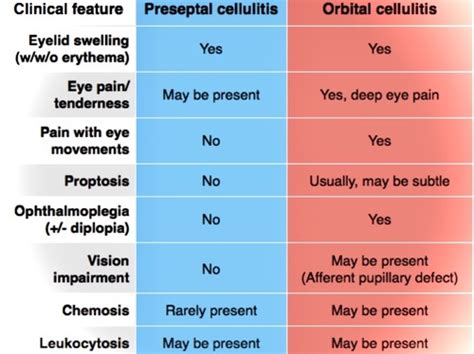 Optho 13 Roshhippomeds Flashcards Quizlet