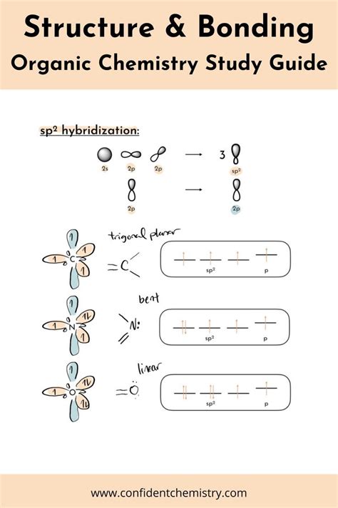 Sp2 Hybridization Organic Chemistry Structure And Bonding Study Guide