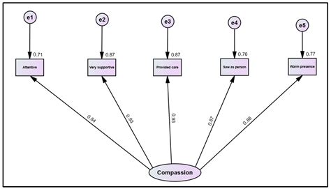 The Validation Of The Sinclair Compassion Questionnaire Scq And Scq