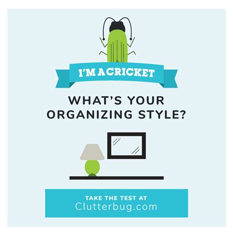 Cricket Clutterbug Organization Storage Ideas Artofit