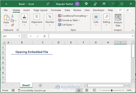 How To Open Embedded File In Excel With Useful Steps