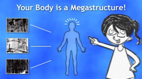 Your Body Is A Megastructure Megastructure Games Educational Video