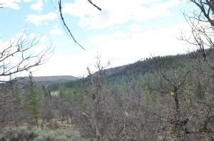 Social Services Official Home Of The Pit River Tribe