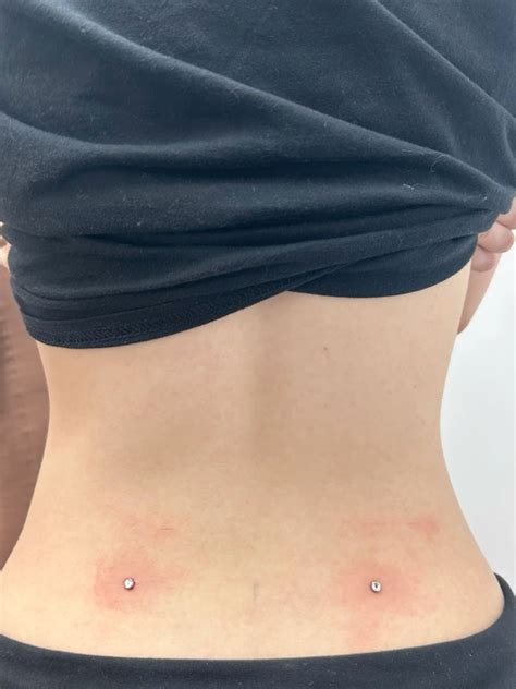 Pin De Anies En Pins Van Jou En 2025 Piercings Femeninos