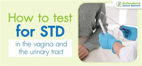 How To Check Sexually Transmitted Disease Intouchmedicare
