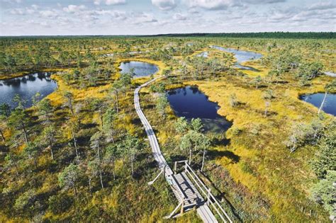 Dax Dickson On Linkedin Carbon Offset Projects To Carbon Credits