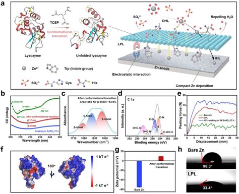 东华大学「国家杰青」武培怡团队，最新am！ 华算科技