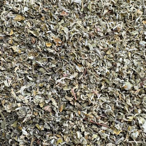 Damiana Leaf Turnera Diffusa Alchemy And Herbs