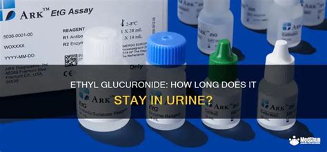 Ethyl Glucuronide How Long Does It Stay In Urine Medshun