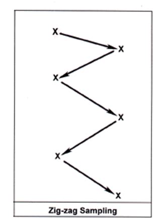 How To Take Soil Sample For Soil Testing