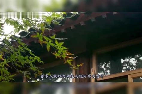 别把房产证当不动产证，专家：两者的区别很大，不小心变别人房子不动产区别房子