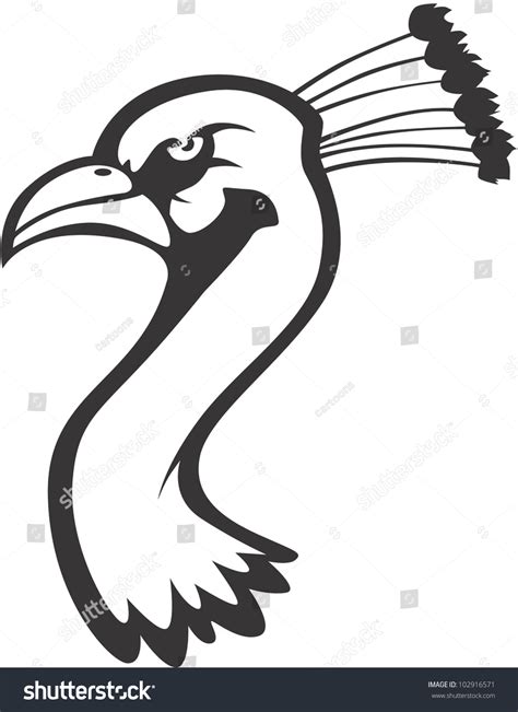 Creative Peacock Illustration Stock Vector Royalty Free 102916571