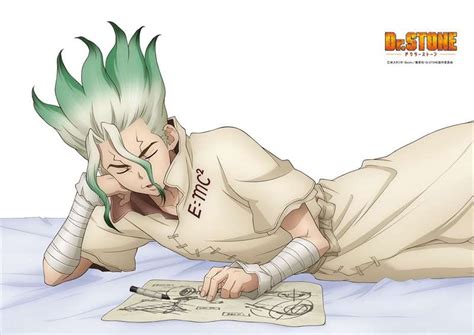 Drstone Newly Drawn B2 Tapestry Senku Ishigami Sleeping