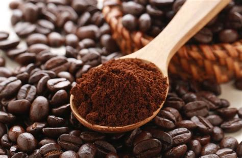 أفضل أنواع البن في العالم دليل شامل بوابة الأهرام