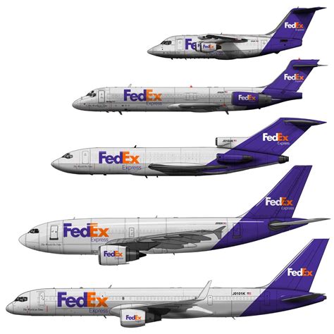 Fedex Fleet Pen And Ink Watercolor Art Fedex Airplane Drawing