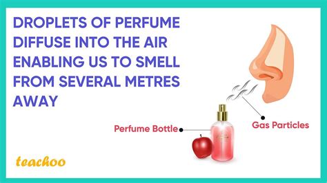 Give Reason We Can Get The Smell Of Perfume Sitting Several Metres