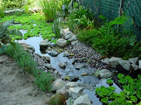 My So Called Pond Life Pond Edging