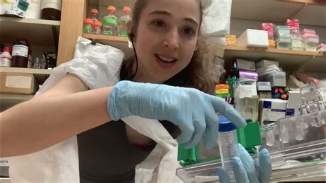 Casting Polyacrylamide Gels In Theory The Polymerization Reaction And Practice Youtube