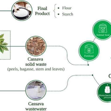 General Flowchart Of Cassava Processing And Ecofriendly Potential Of