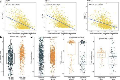 The Prognostic Signature As A Predictive Biomarker For Immunotherapy In Download Scientific