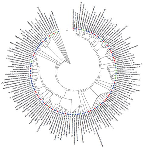 4 Proteobacteria Phylogeny During Both Discharge Periods Low Discharge