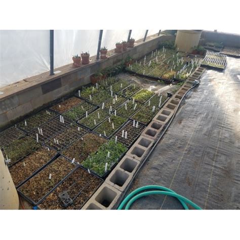 Capillary Mat System 60 X 120cm Sustainable Organic Q8