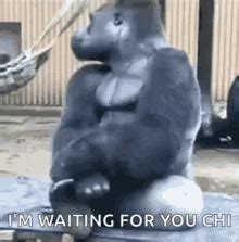Waiting Funny S Tenor Waiting Funny S Tenor