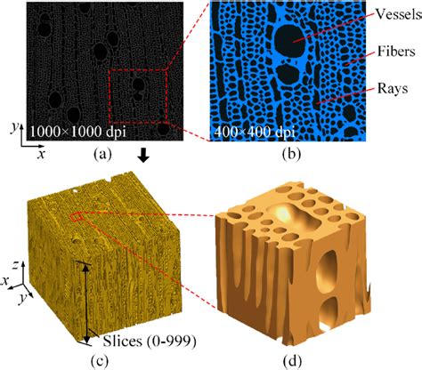 Natural Model Of The Microstructure A Gray Scale Image Of The