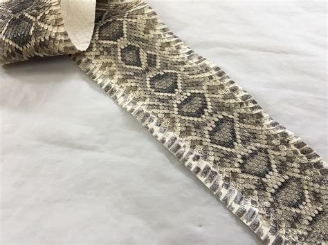 New Eastern Diamondback Rattlesnake Hide Real Snake Skin Rattlesnake