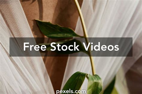 Dress Texture Videos Download The Best Free 4k Stock Video Footage