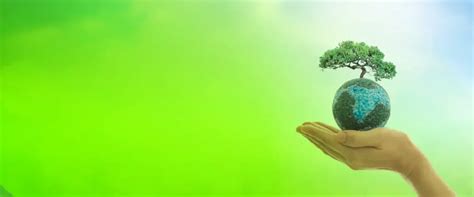 The Advantages Of Using K9s For Bed Bug Detection Over Human Inspection Rest Easy Heat