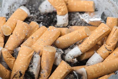 Extinguished Cigarette Closeup Stock Image Image Of Lifestyle