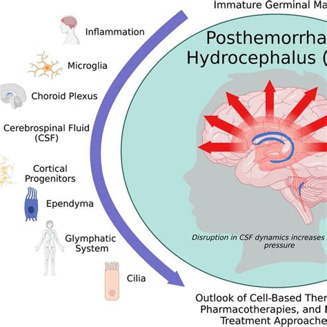 Cameron Sadegh Neurosurgery Resident Md Phd Harvard University