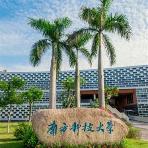 Kexin Zhang Southern University Of Science And Technology Shenzhen Sustech School Of