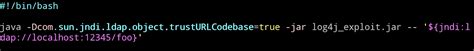 Syscall Based Log4shell Detection On Linux Pirxhhhh