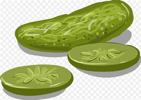 卡通手绘丝瓜png图片素材下载图片编号qjardoxy 免抠素材网