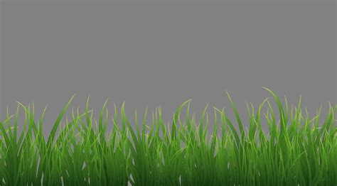 Grass Unveils Max Supply 10 Airdrop Allocation