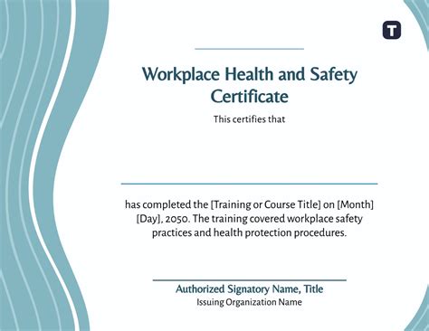 Safety Officer Experience Certificate