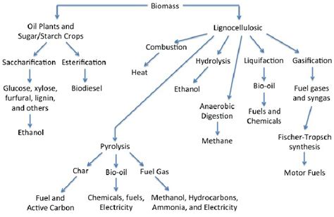 Schematic Of Biomass Conversion Technologies Download Scientific Diagram