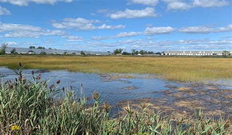 Stratford Criergreat Meadows Marsh Now Open For Visitors