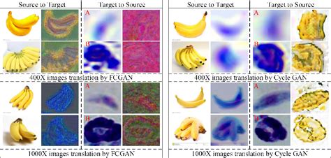 figure 3 from unsupervised toxoplasma gondii recognition by fuzzy cycle